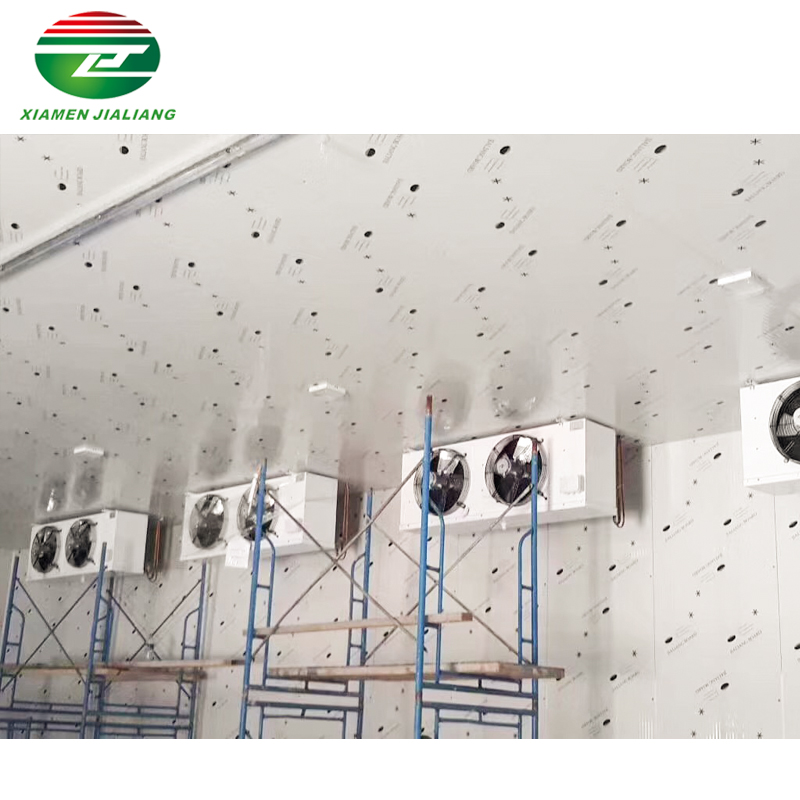 Commercial Cold Room For Market With Air Cooler-coldroom